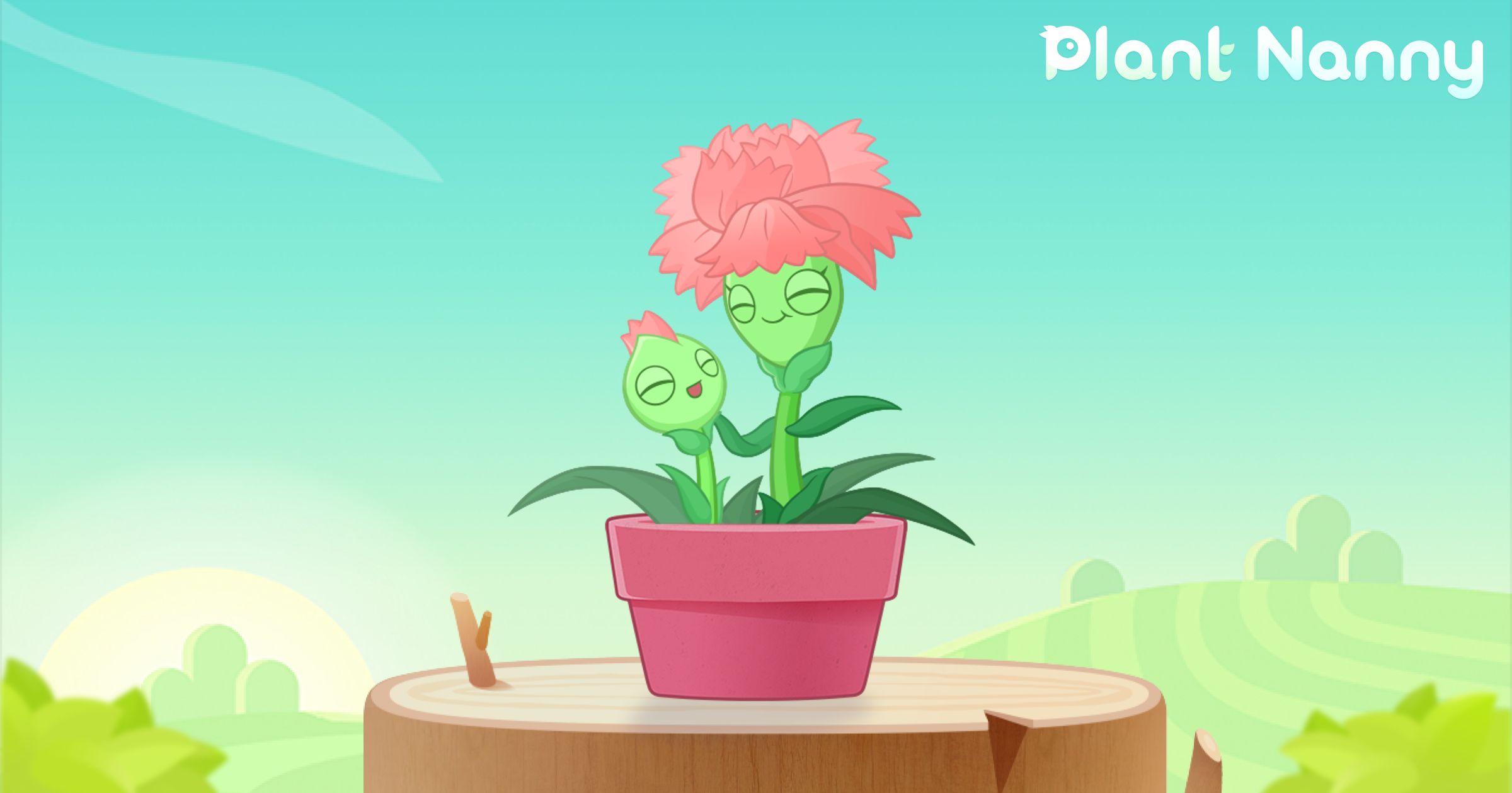 Carnation - Plants - Plant Nanny | SPARKFUL