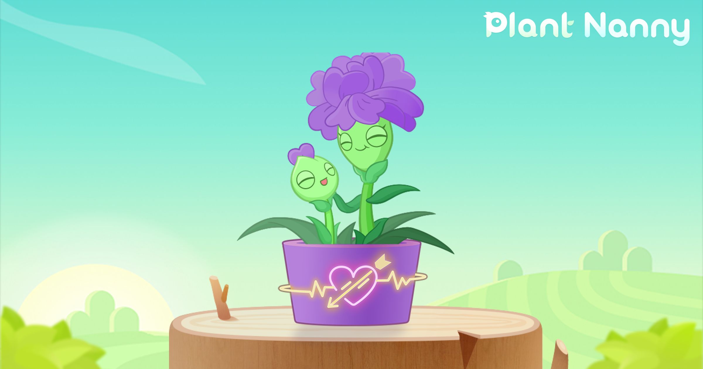 Cherished Carnation - Plants - Plant Nanny | SPARKFUL