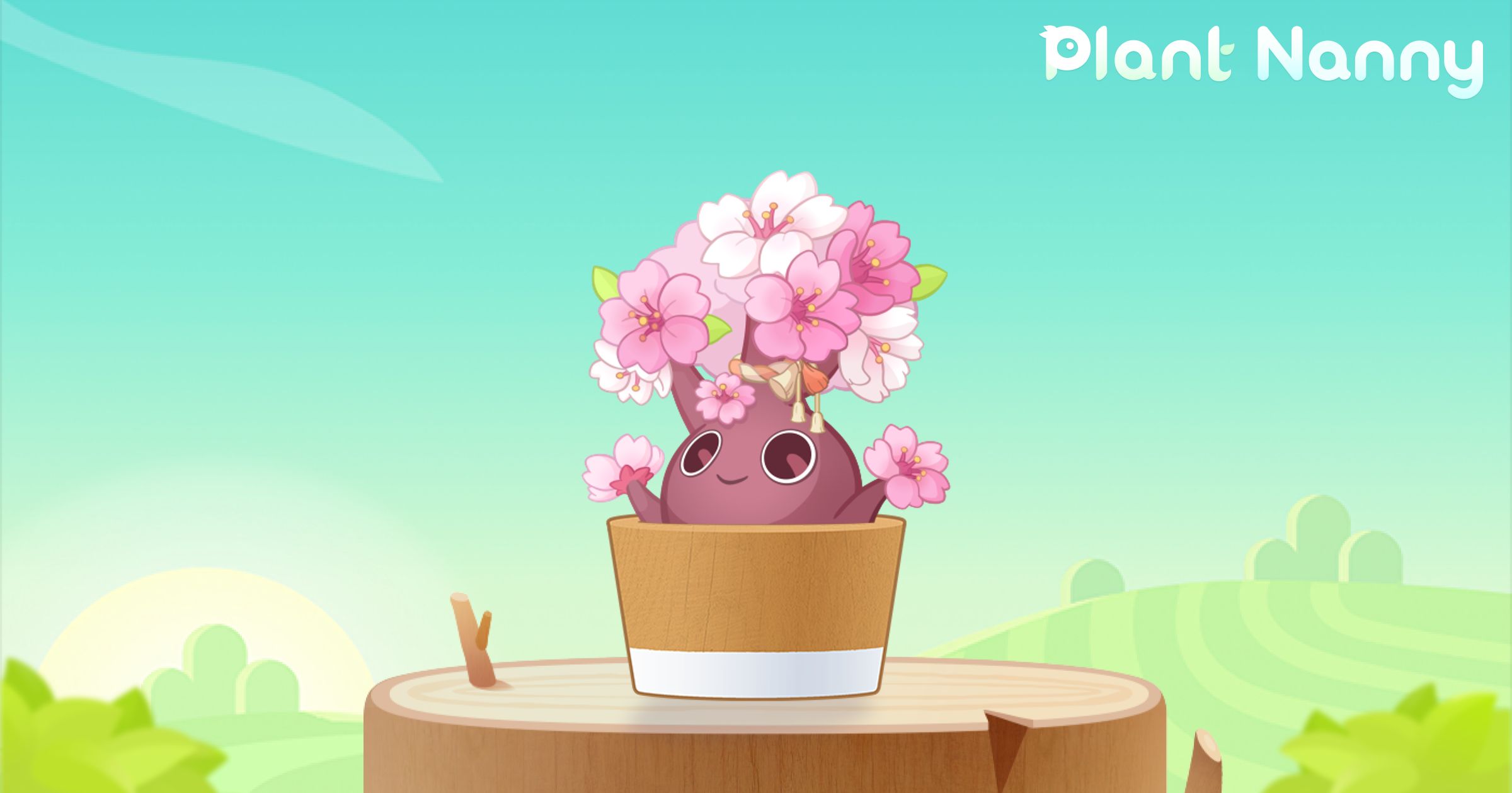 Happy Cherry Blossoms - Plants - Plant Nanny | SPARKFUL
