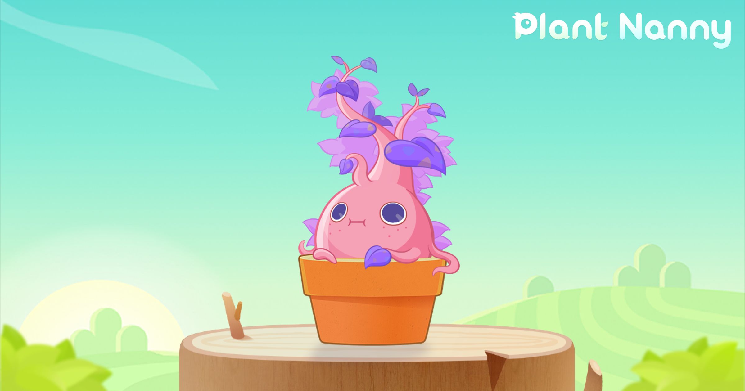 Pink Devil's Ivy - Plants - Plant Nanny | SPARKFUL