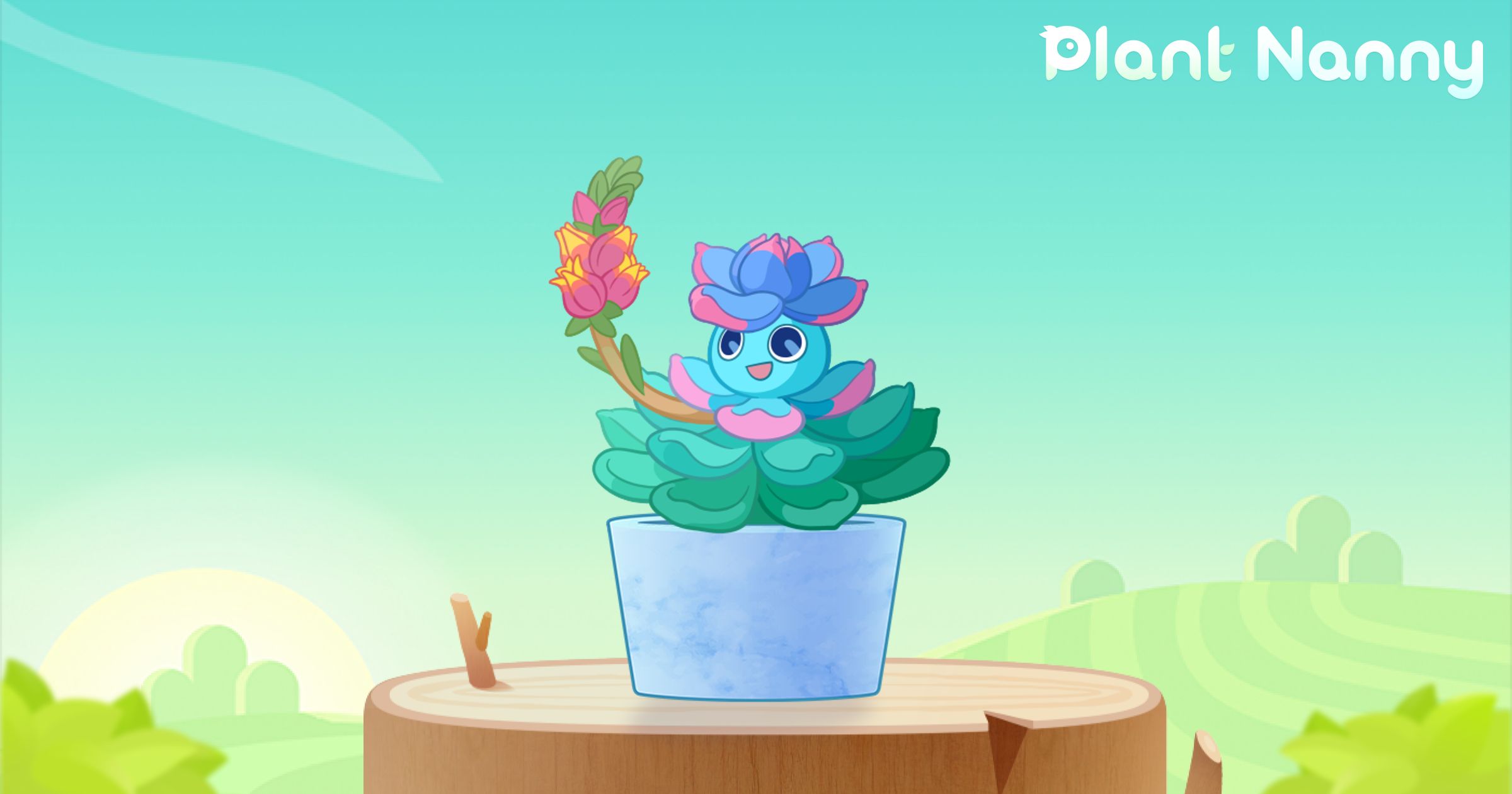 Echeveria - Plants - Plant Nanny | SPARKFUL