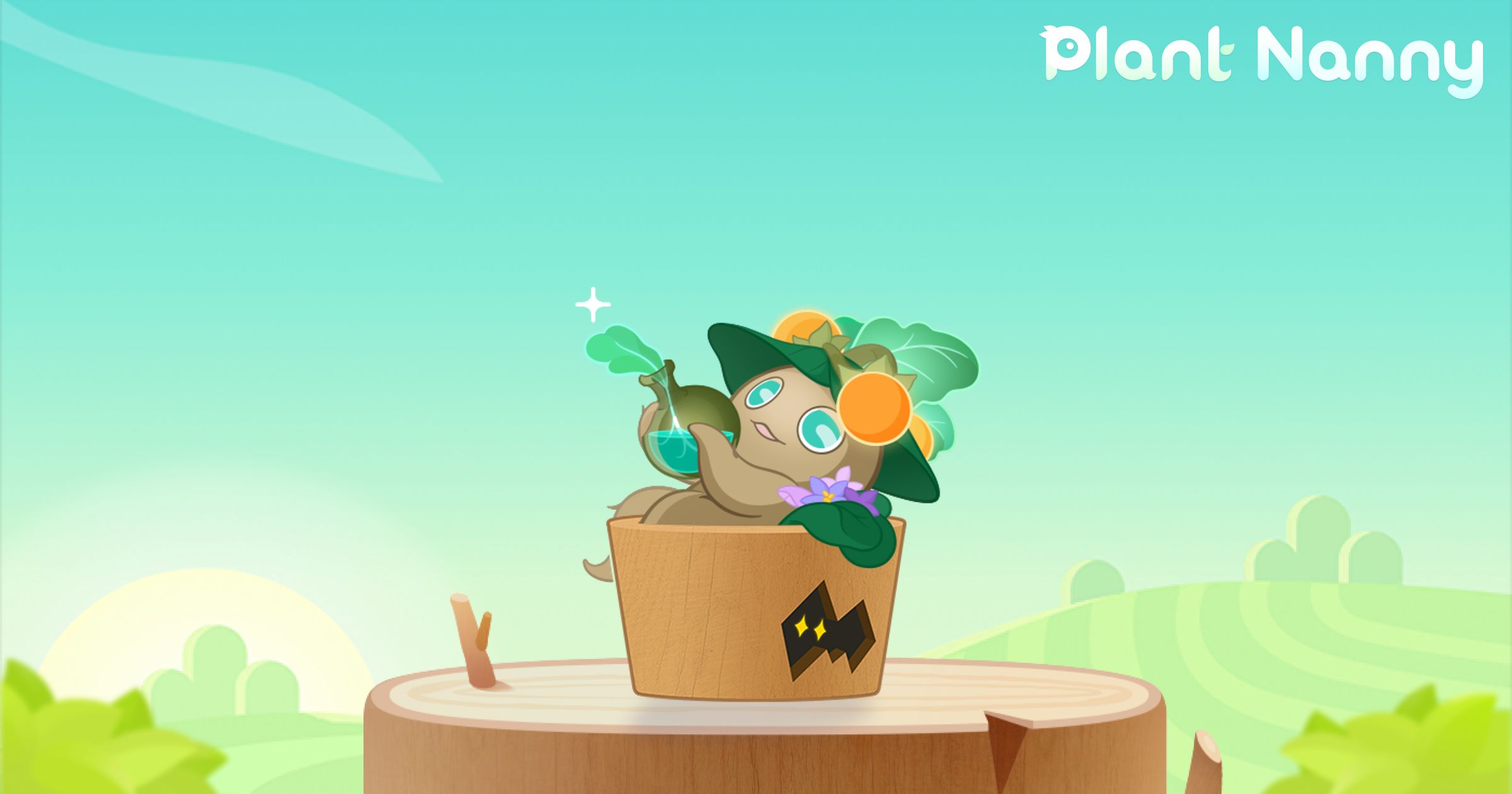 Magical Mandrake - Plants - Plant Nanny | SPARKFUL