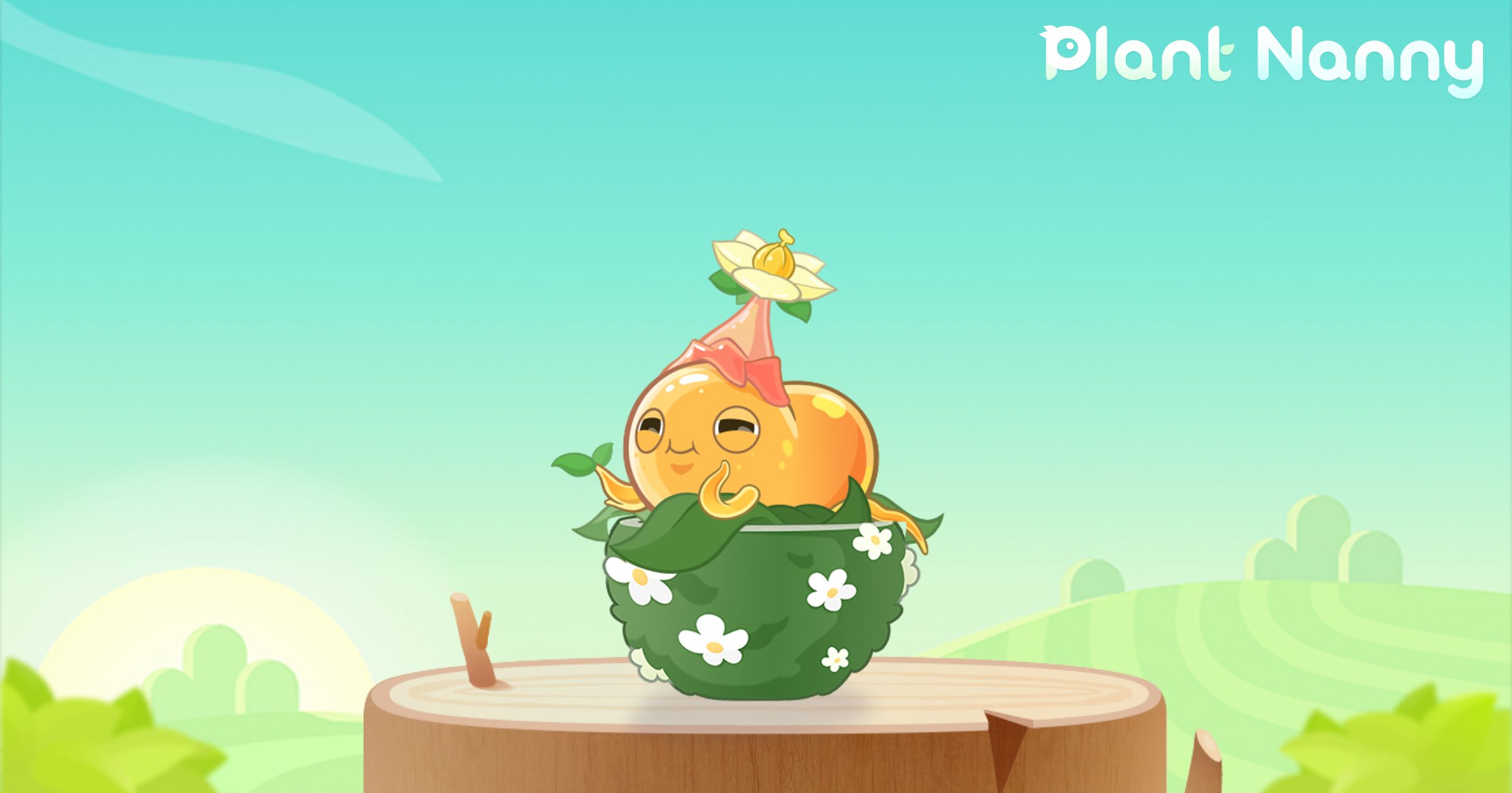 Honey Potato - Plants - Plant Nanny | SPARKFUL