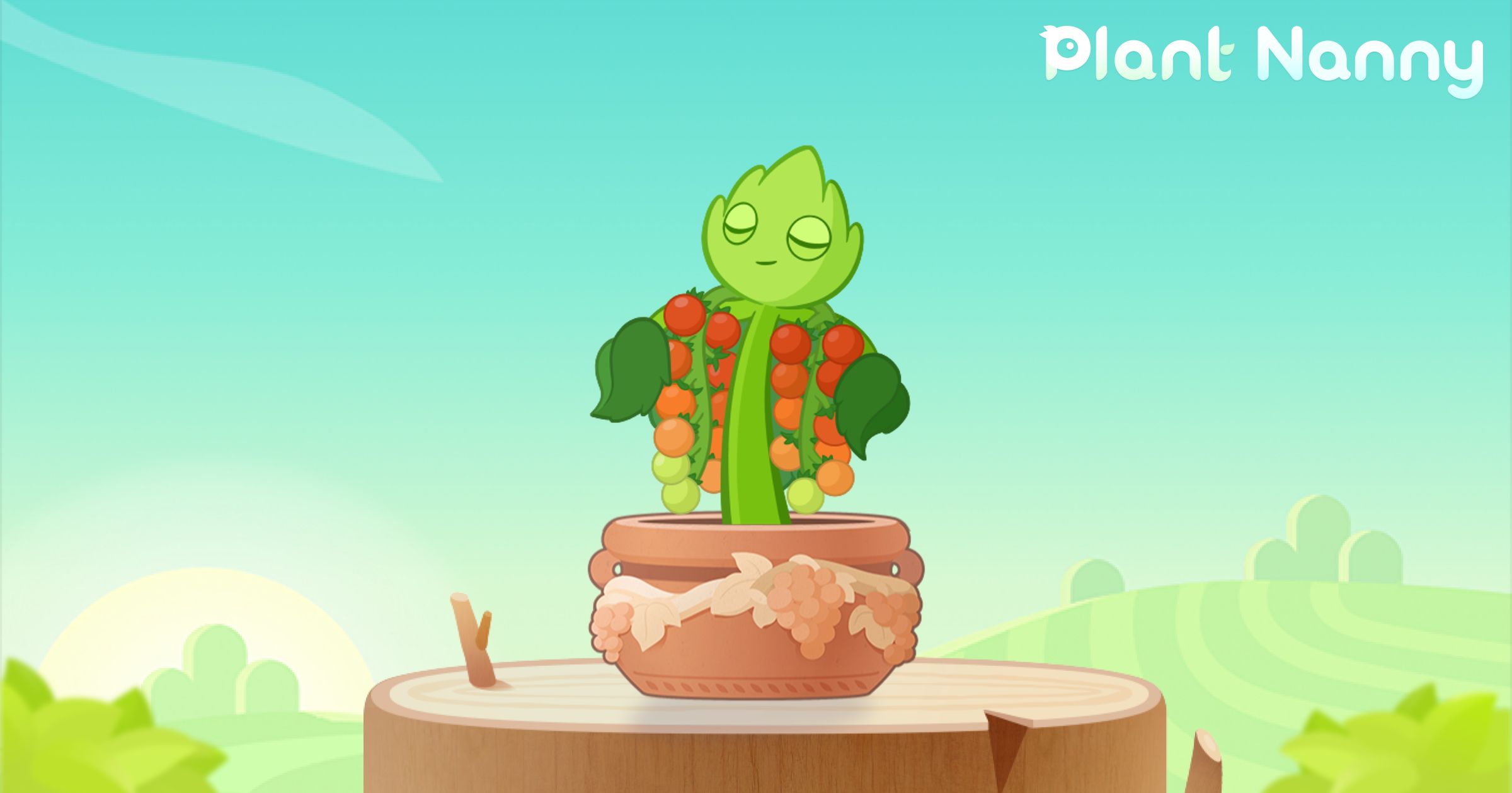 Tomato - Plants - Plant Nanny | SPARKFUL